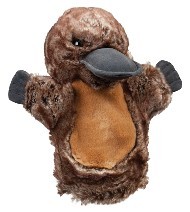 Buy HAND PUPPET - CYRIL SQUIRREL online from Nana's Teddies