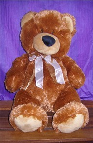 Buy COOGEE online from Nana's Teddies