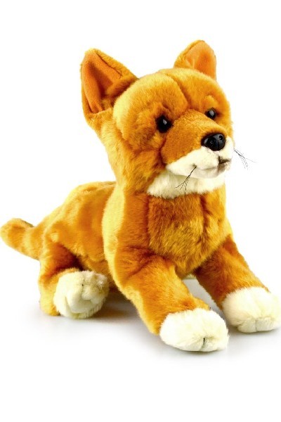 Buy DINGO online from Nana's Teddies