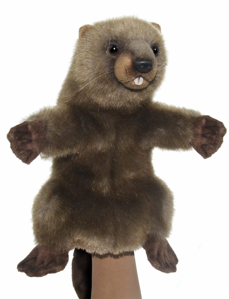 Buy BEAVER HAND PUPPET online from Nana's Teddies